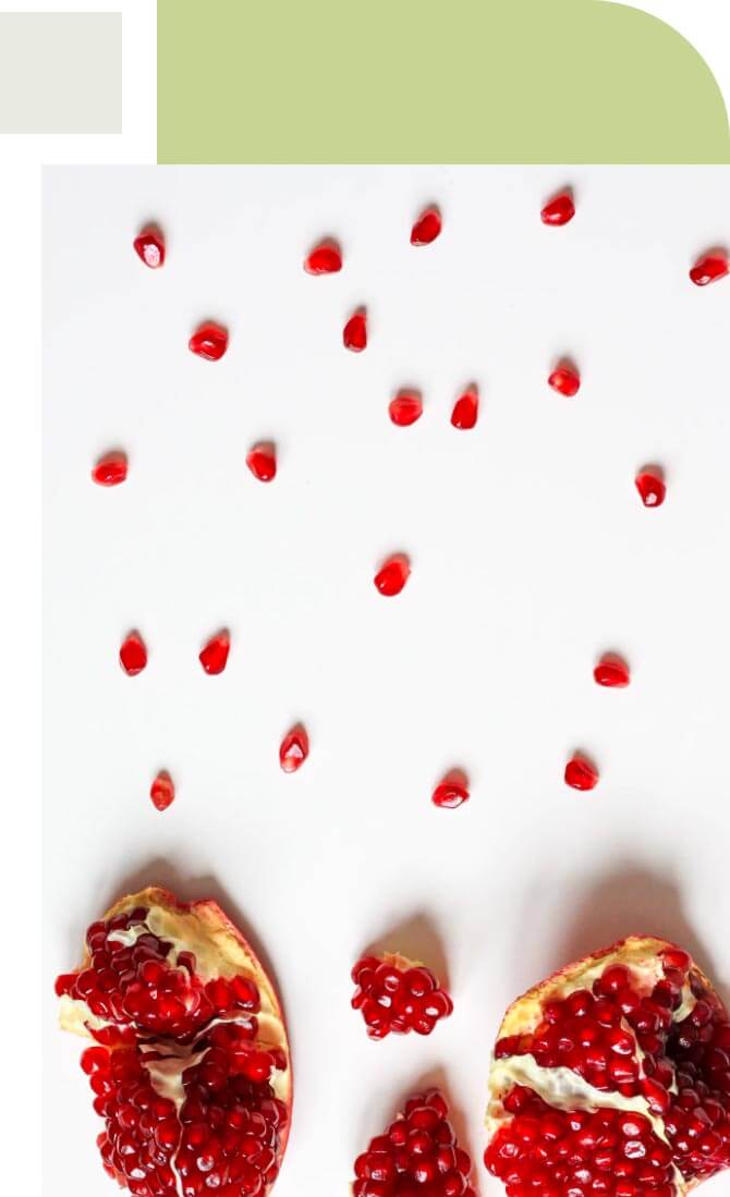 Paper Boat | Case Study | Zoho Expense